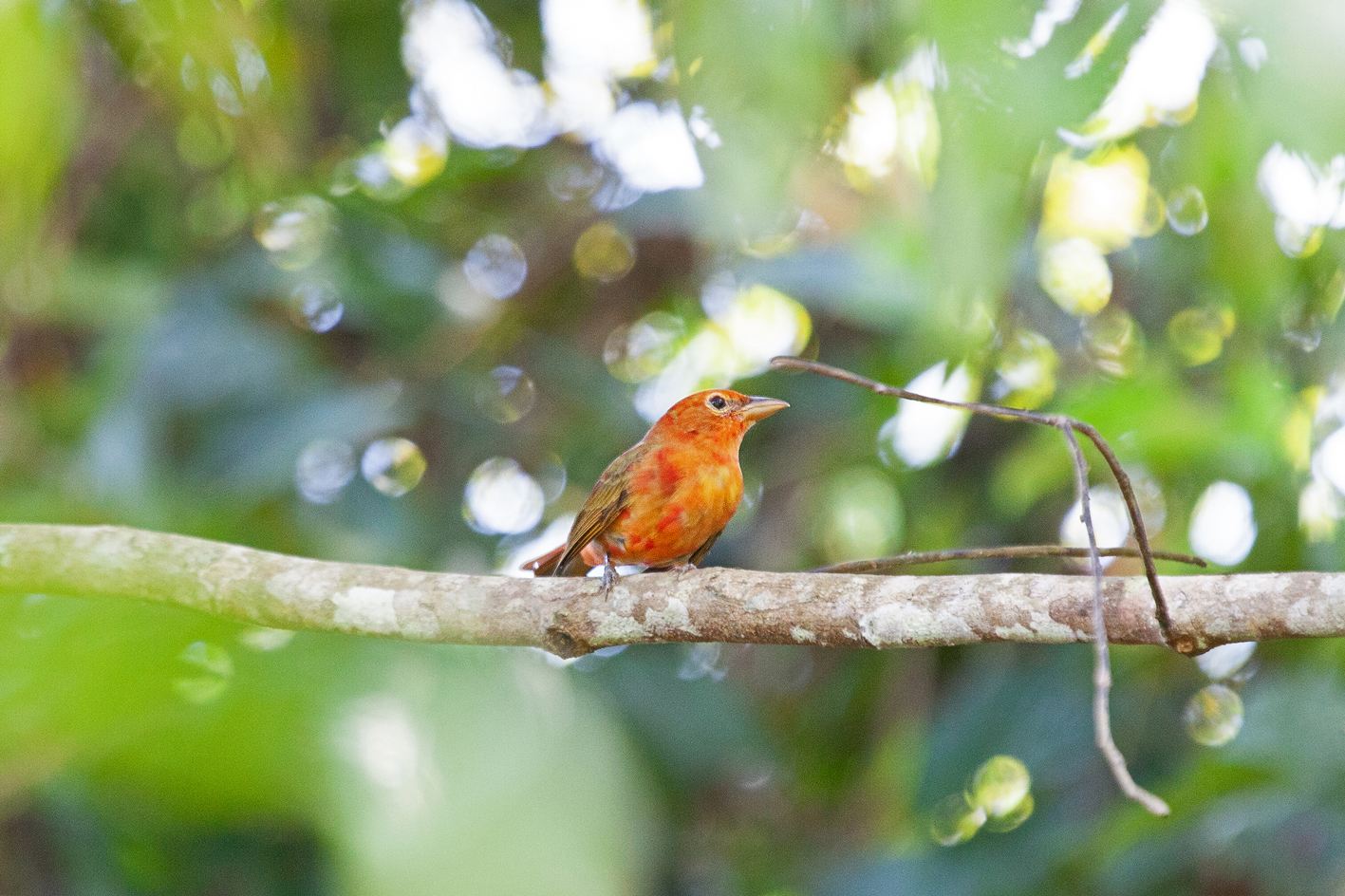 Costa Rica – PIERRE DUFFAUD PHOTOGRAPHE