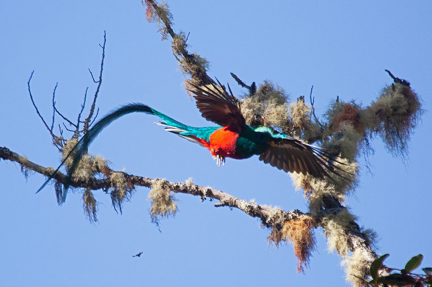 Costa Rica – PIERRE DUFFAUD PHOTOGRAPHE